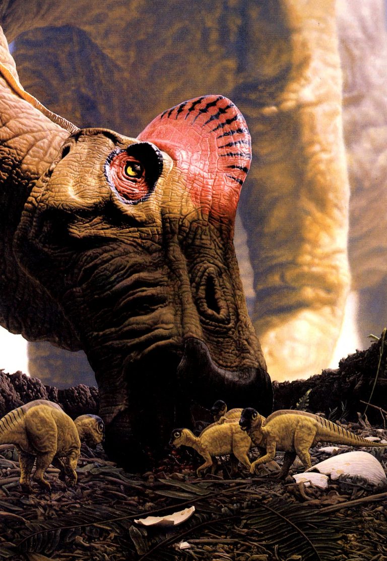 Die Website über Dinosaurier ⋆ Dinosaurierwelt.com