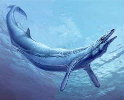 Meeressaurier ⋆ Dinosaurierwelt.com