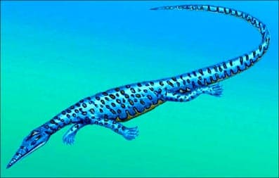 Meeressaurier ⋆ Dinosaurierwelt.com