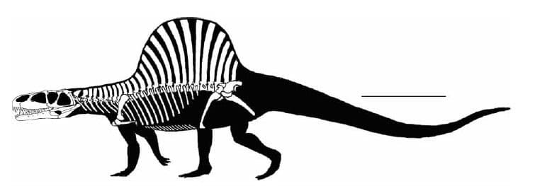 Arizonasaurus ⋆ Dinosaurierwelt.com