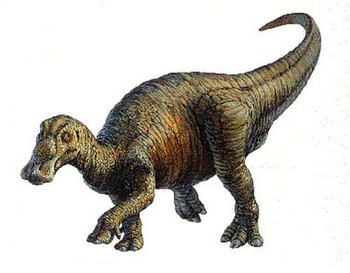 Edmontosaurus ⋆ Dinosaurierwelt.com Edmontosaurus ⋆ Dinosaurierwelt.com
