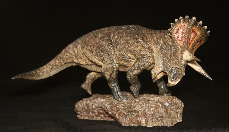 Turanoceratops ⋆ Dinosaurierwelt.com