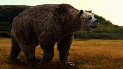 Prähistorische Tiere ⋆ Dinosaurierwelt.com